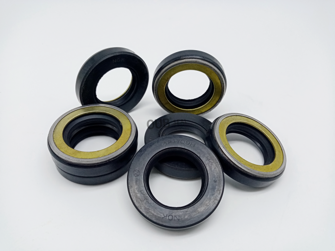AE1252EO NOK TC 24x38x8 NBR Rubber Lip Seal Hydraulic Pump Seal Kit